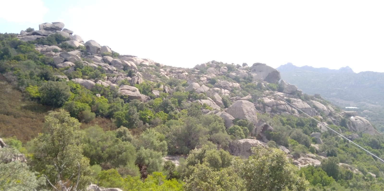 Ilenia Magoni - freeCodeCamp.org