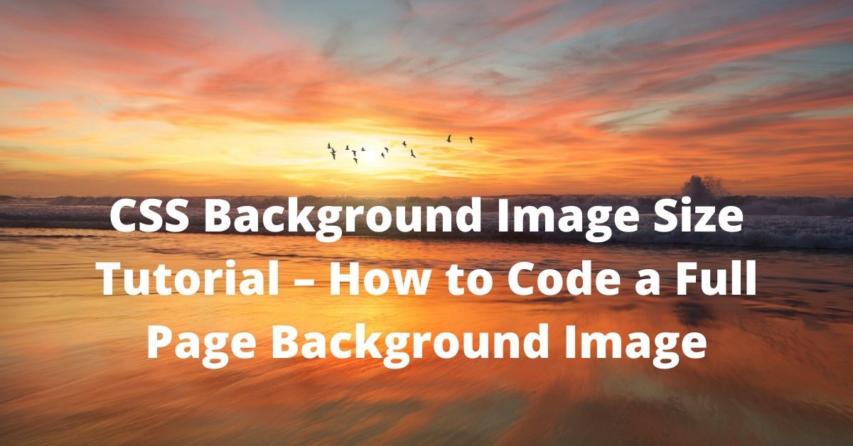 Tutorial De Tamanho De Imagem De Fundo Em CSS Como Inserir Uma Imagem 