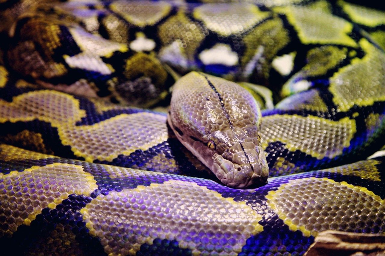 Exemplos de Python – Estruturas de dados, algoritmos, código de exemplo ...
