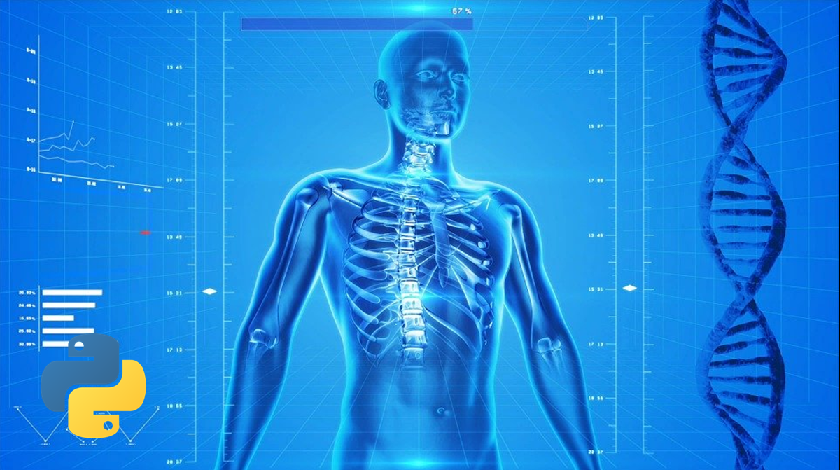 Para que serve o Python? Mais de 10 casos de utilização da linguagem de ...