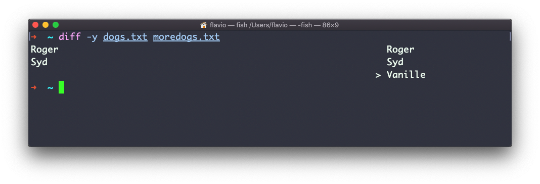 O manual de comandos do Linux – aprenda comandos do Linux para iniciantes