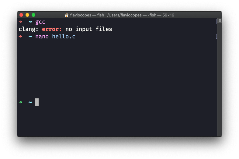 O manual do iniciante em C: aprenda o básico sobre a linguagem de ...