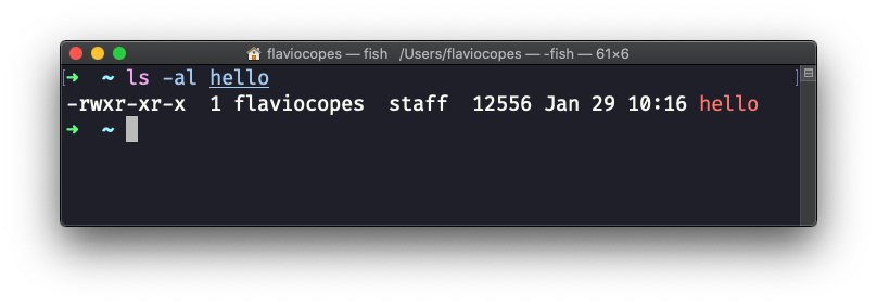O manual do iniciante em C: aprenda o básico sobre a linguagem de ...