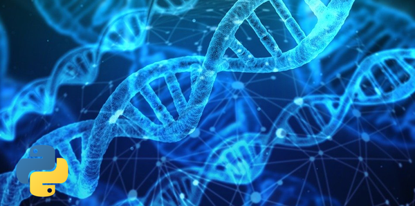 Para que serve o Python? Mais de 10 casos de utilização da linguagem de ...