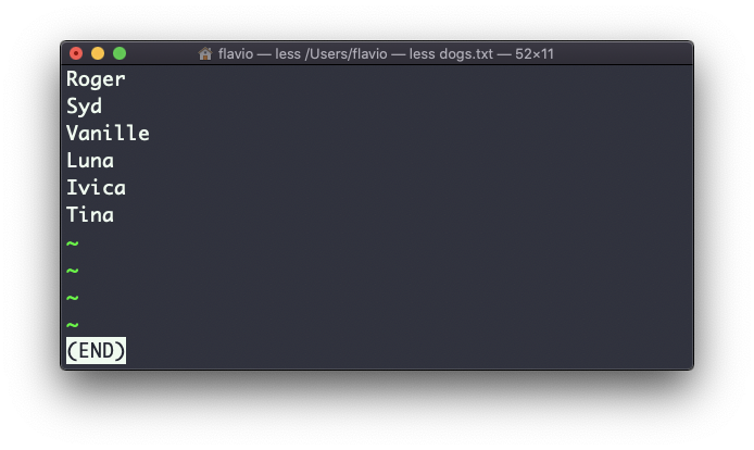 O manual de comandos do Linux – aprenda comandos do Linux para iniciantes