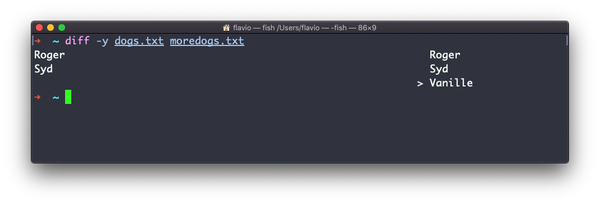 O manual de comandos do Linux – aprenda comandos do Linux para iniciantes